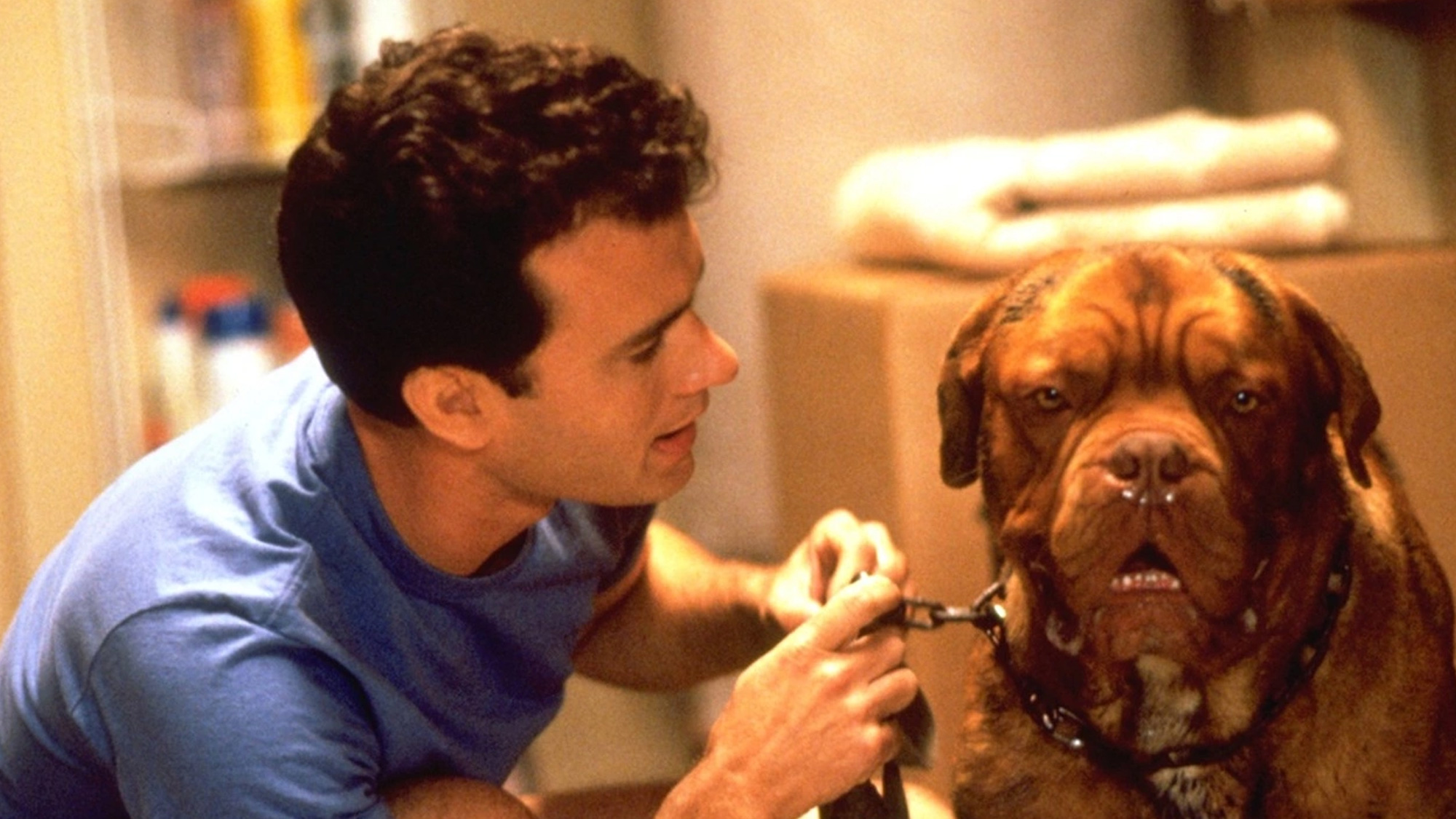 Top 14 des Films avec des Chiens