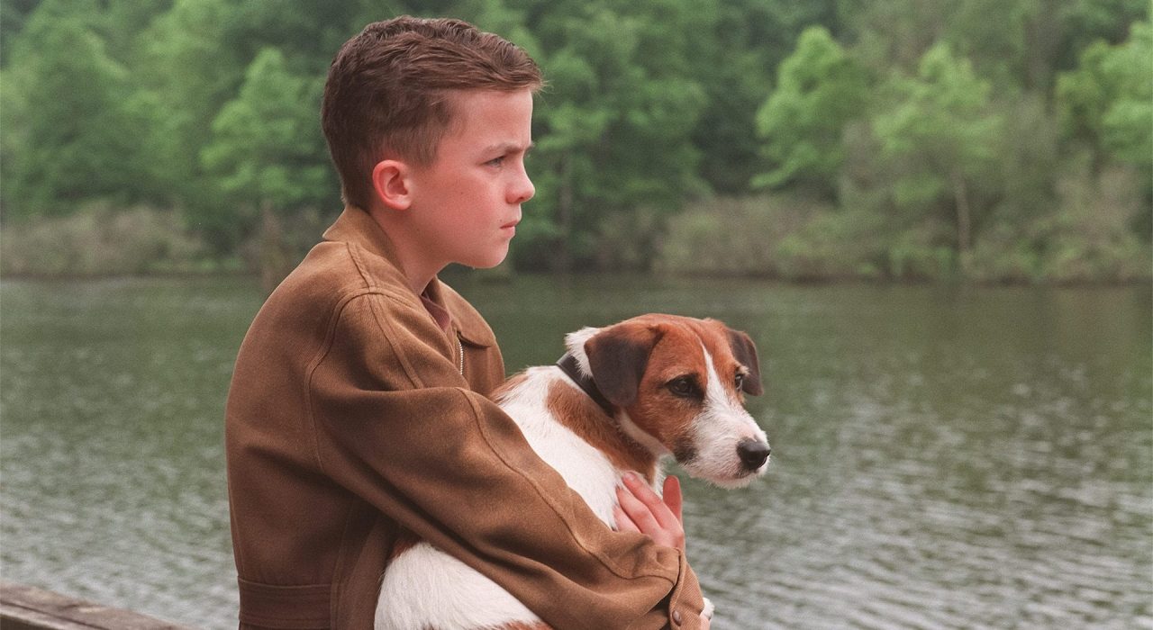 Top 12 meilleurs films avec des chiens